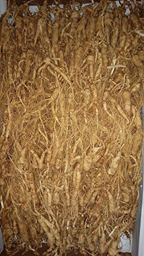 wild ginseng for health
