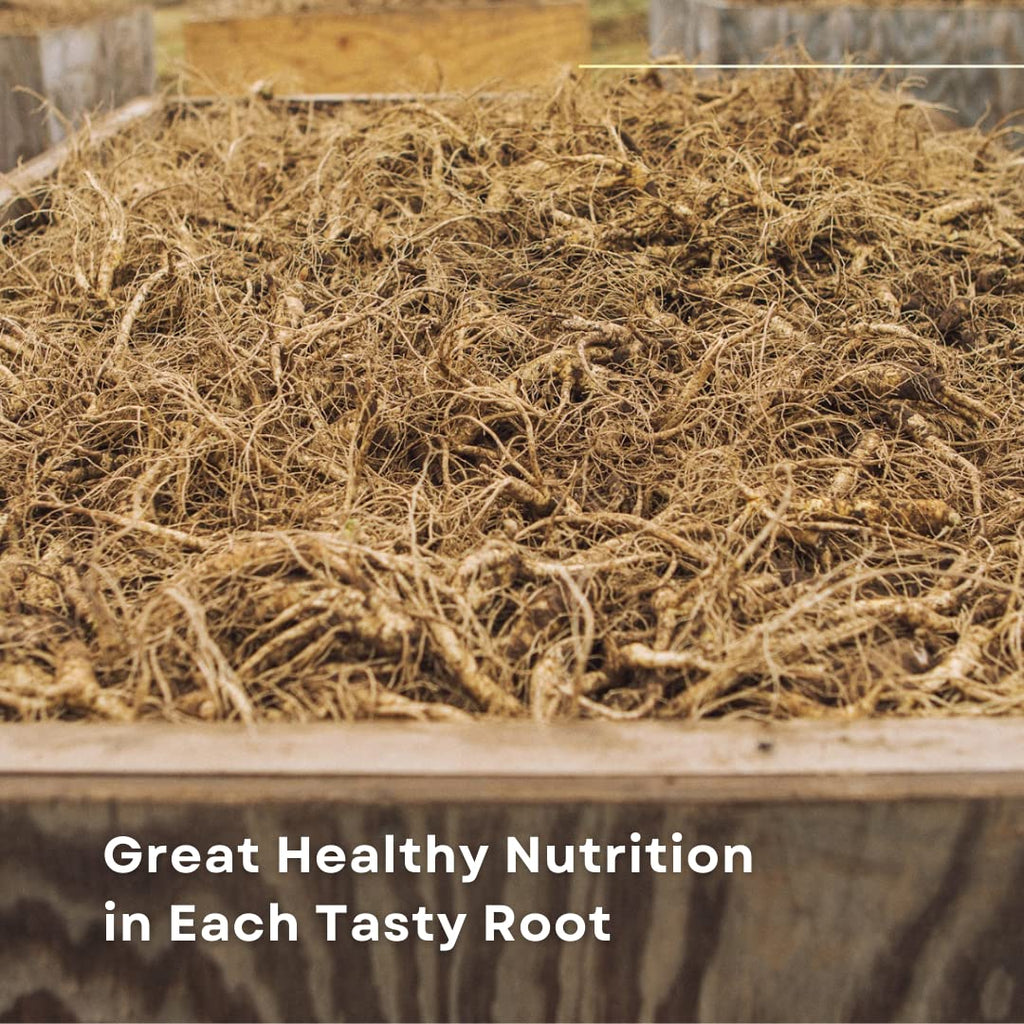wild ginseng roots for natural energy