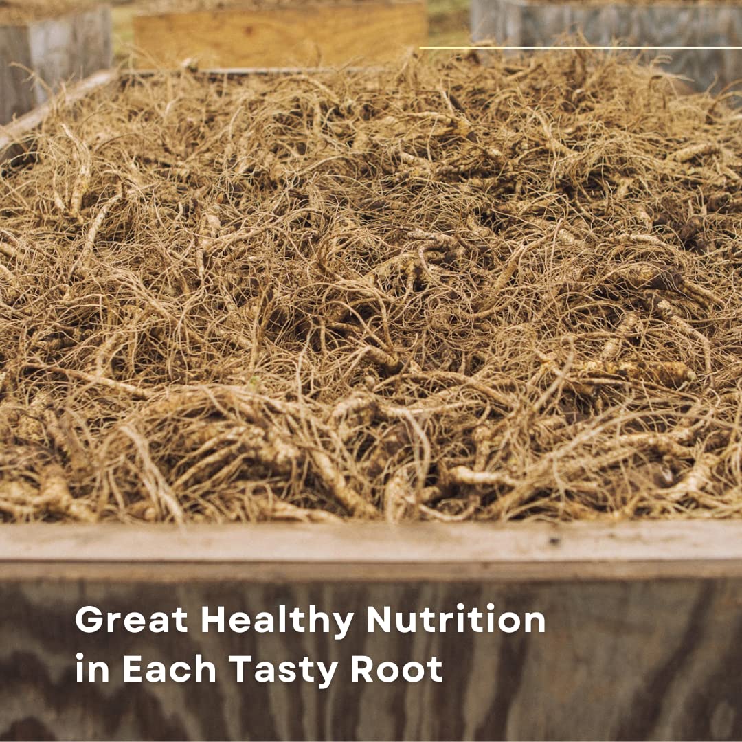 wild ginseng roots for natural energy