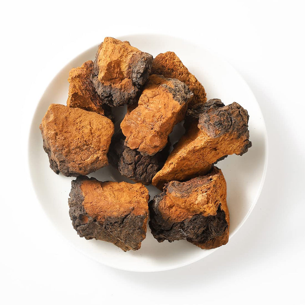 wild harvested chaga for wellness