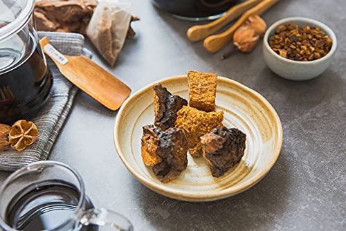 wild harvested chaga mushroom chunks