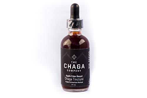 Wild harvested Chaga mushrooms from Alaska