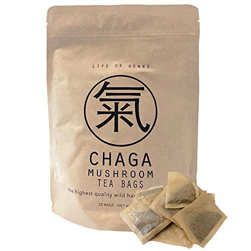 wild harvested chaga mushrooms