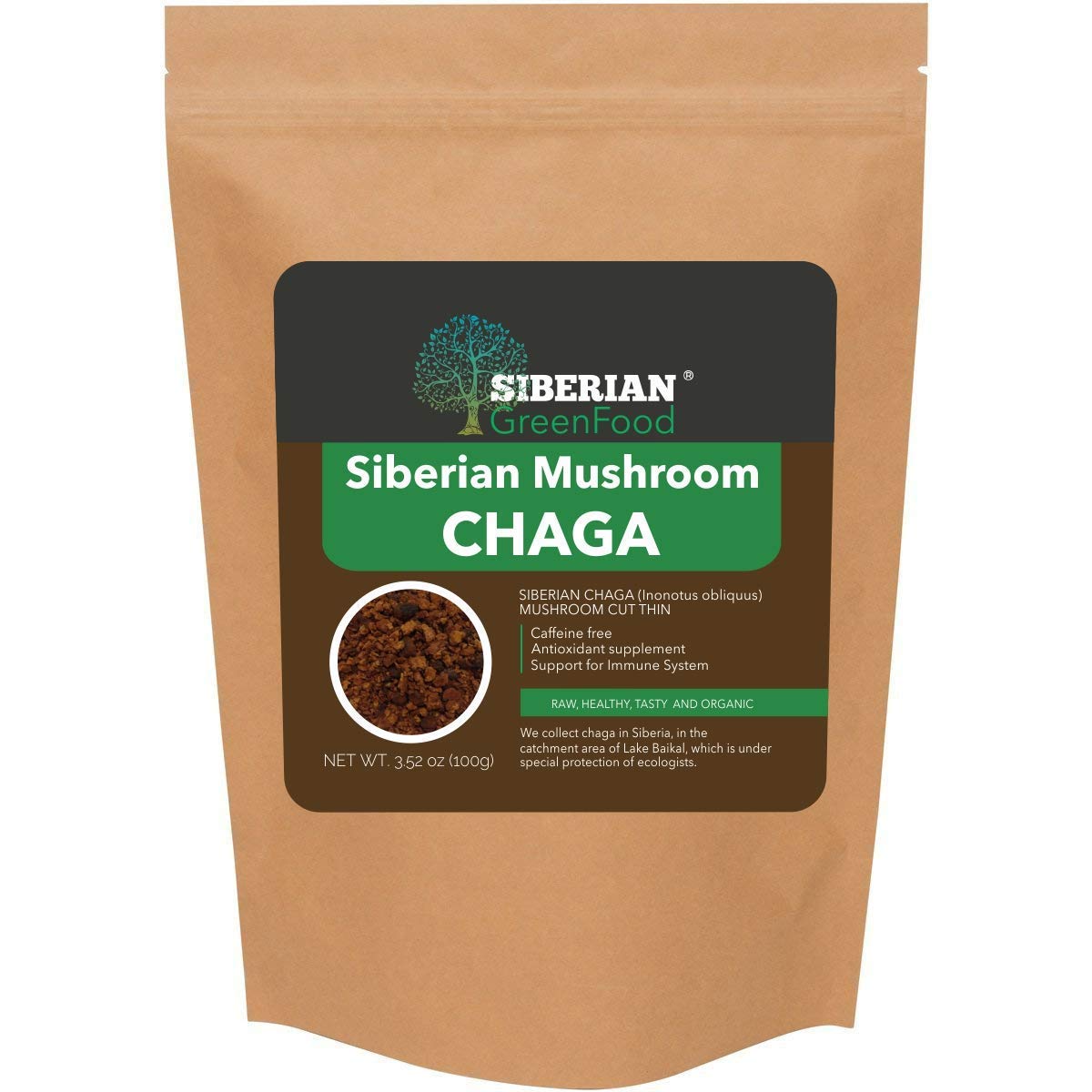 wild harvested chaga tea benefits