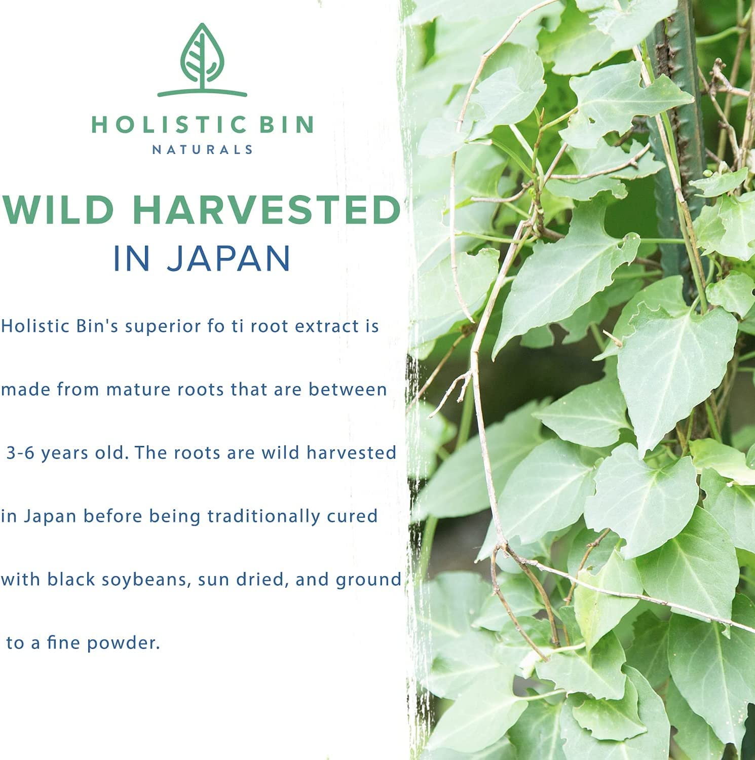 Wild harvested Japanese supplements