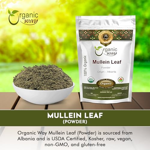 wild-harvested mullein leaf uses