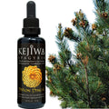 wild harvested pine herbal tincture