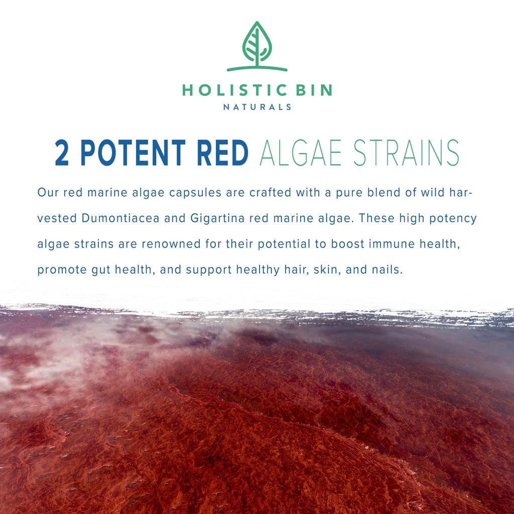 wild harvested red algae benefits