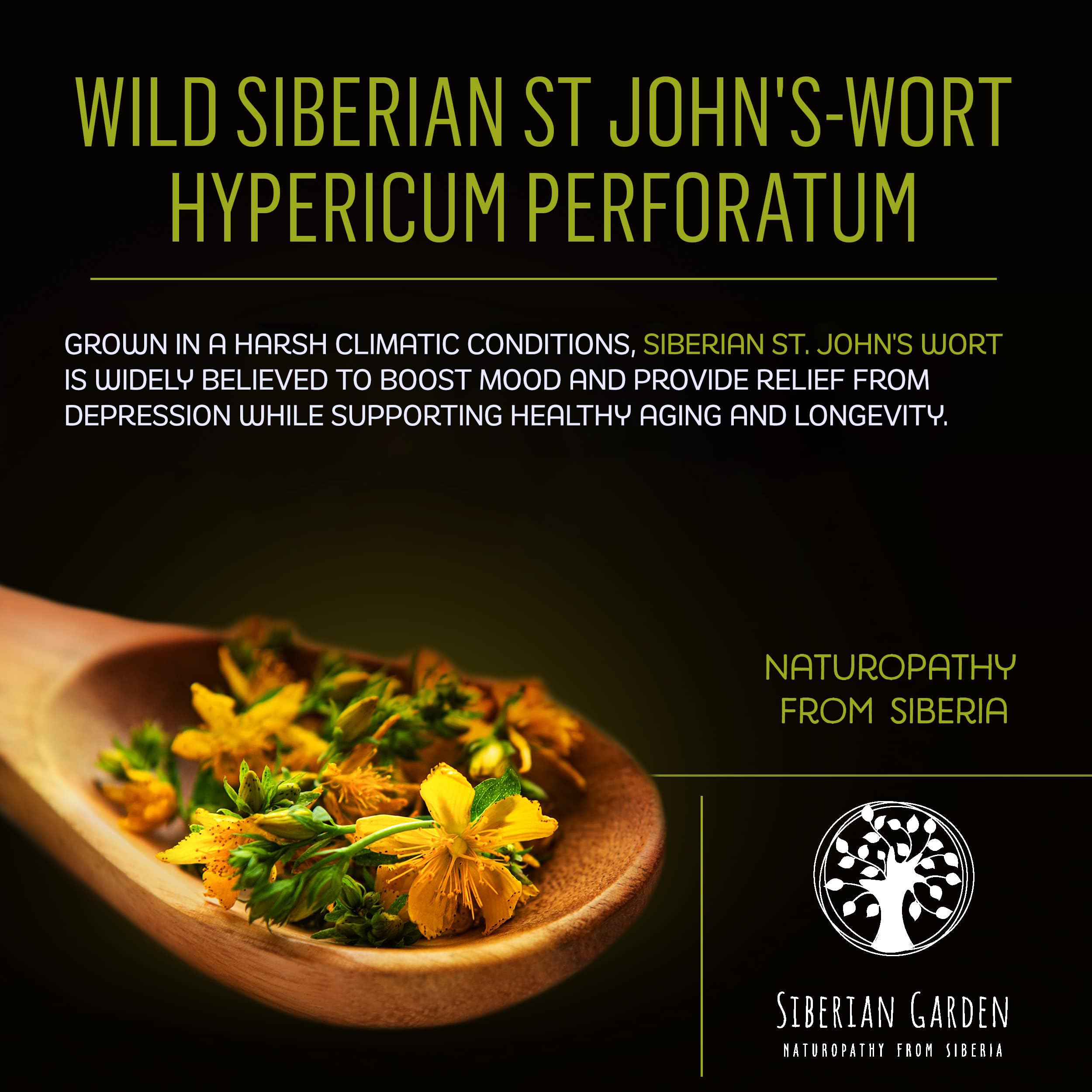 wild harvested st. john's wort