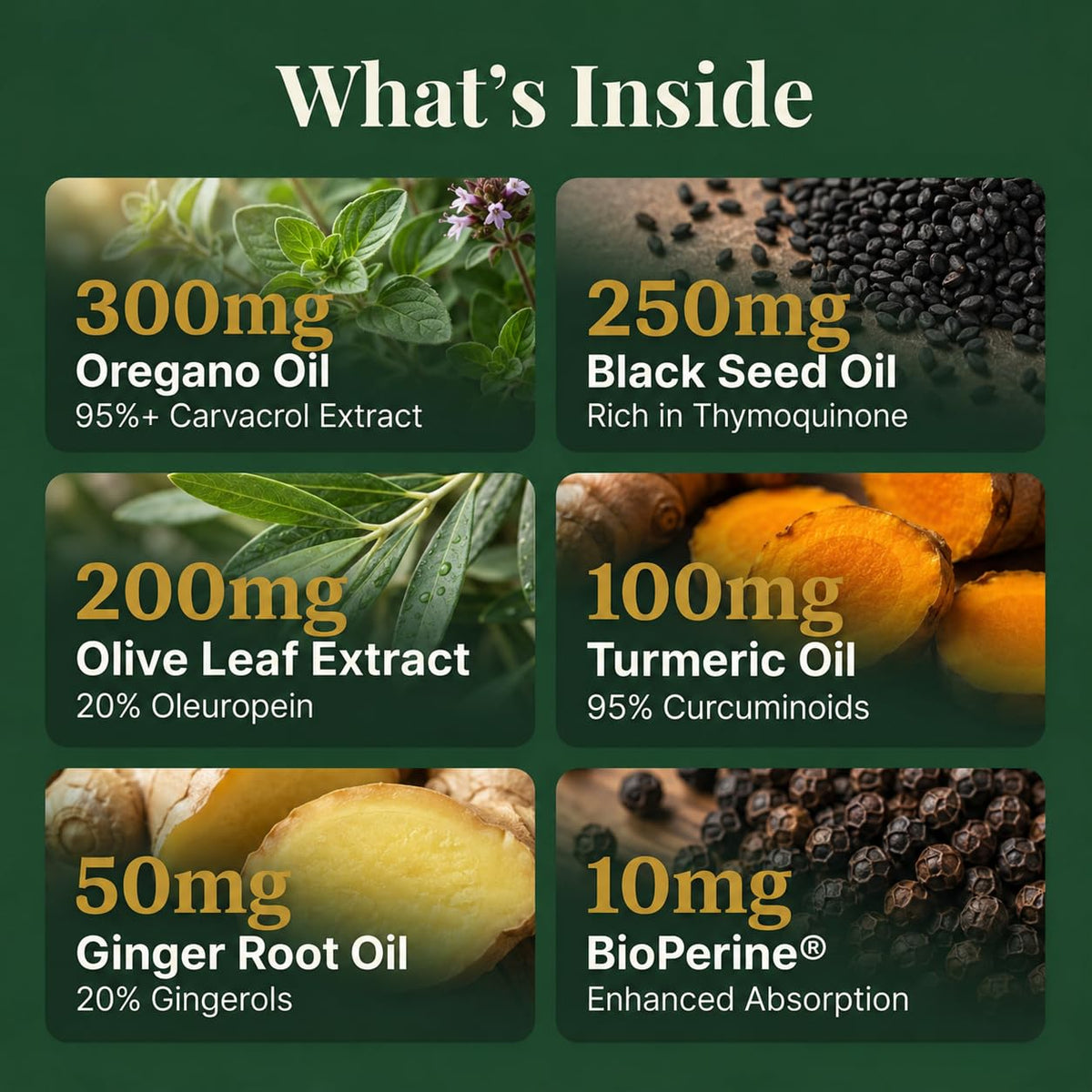 Wild herbal oil for wellness