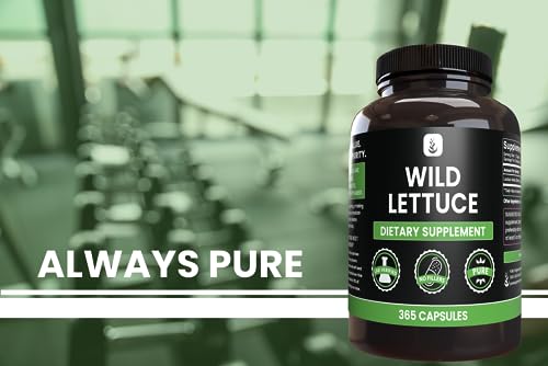 wild lettuce benefits for muscle health