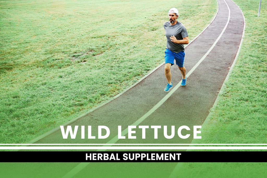 wild lettuce for stress relief