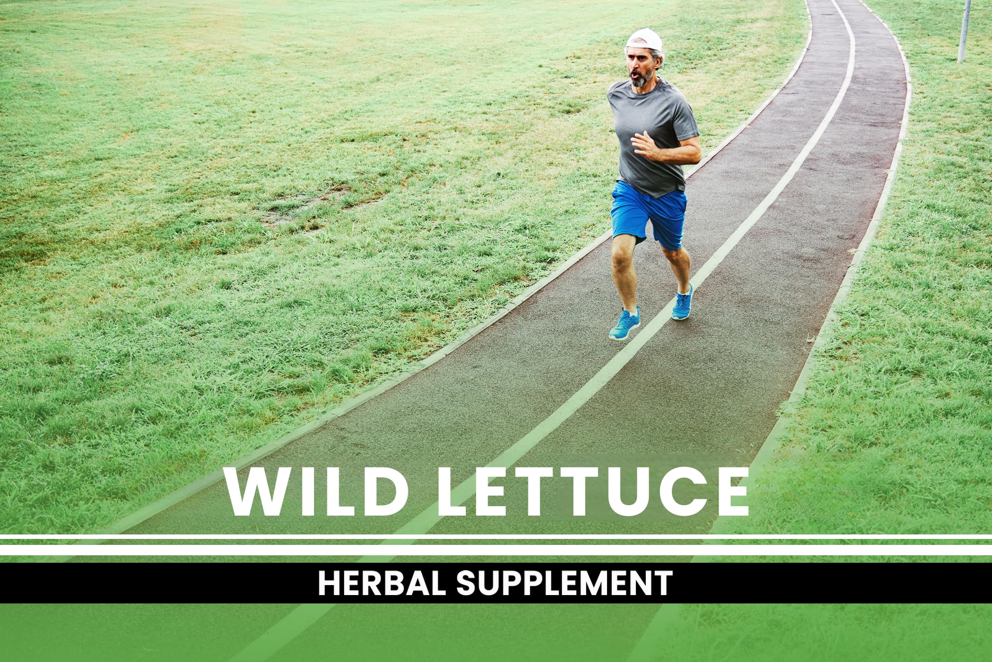 wild lettuce for stress relief