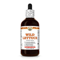 wild lettuce herbal tincture benefits
