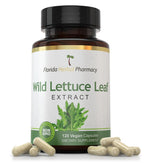 wild lettuce leaf extract capsules
