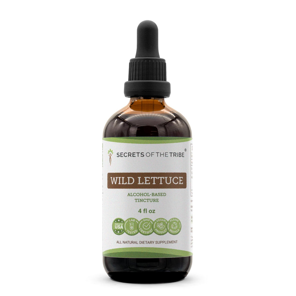 wild lettuce tincture benefits