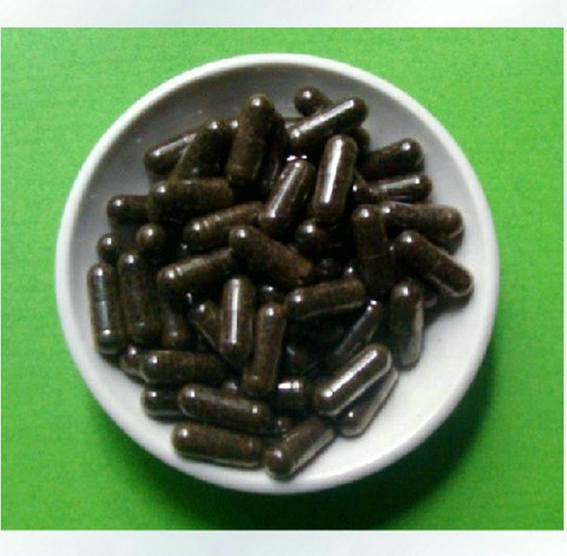 wild mountain polyrhachis ant extract