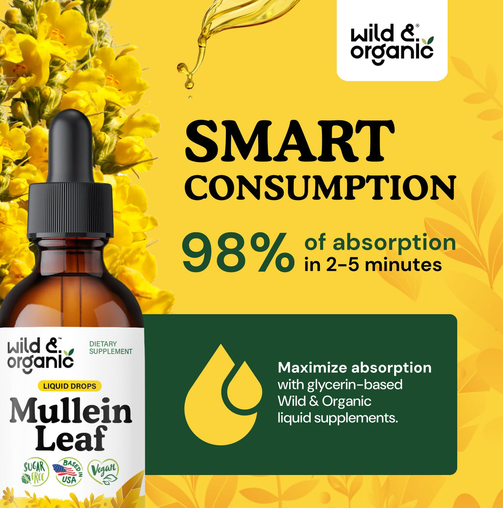 wild mullein drops for wellness