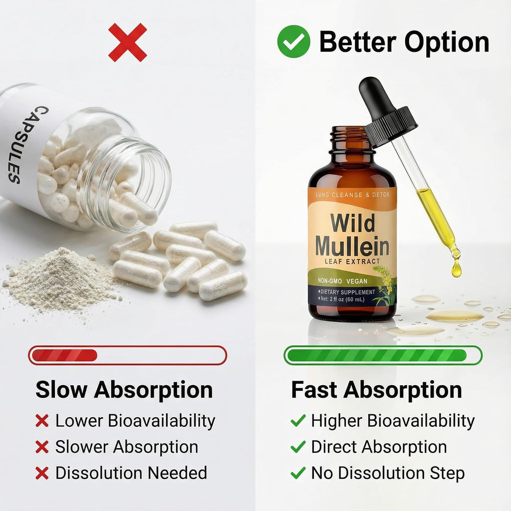 Wild Mullein Drops immune system booster
