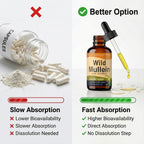 Wild Mullein Drops immune system booster