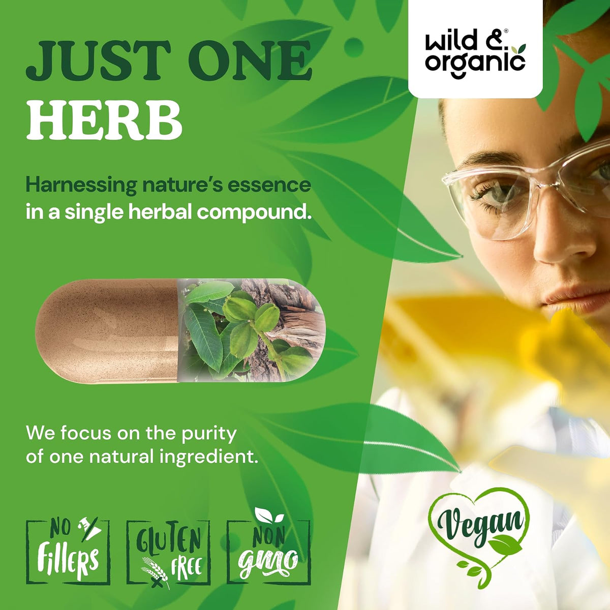 Wild & Organic Arjuna Bark dosage