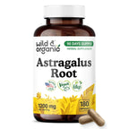 wild organic astragalus health benefits