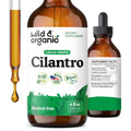 Wild & Organic cilantro tincture benefits