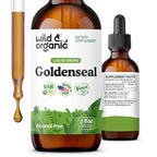 Wild & Organic Goldenseal root tincture benefits
