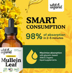 Wild & Organic Mullein Drops for allergies