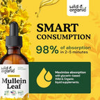 Wild & Organic Mullein Drops immune support