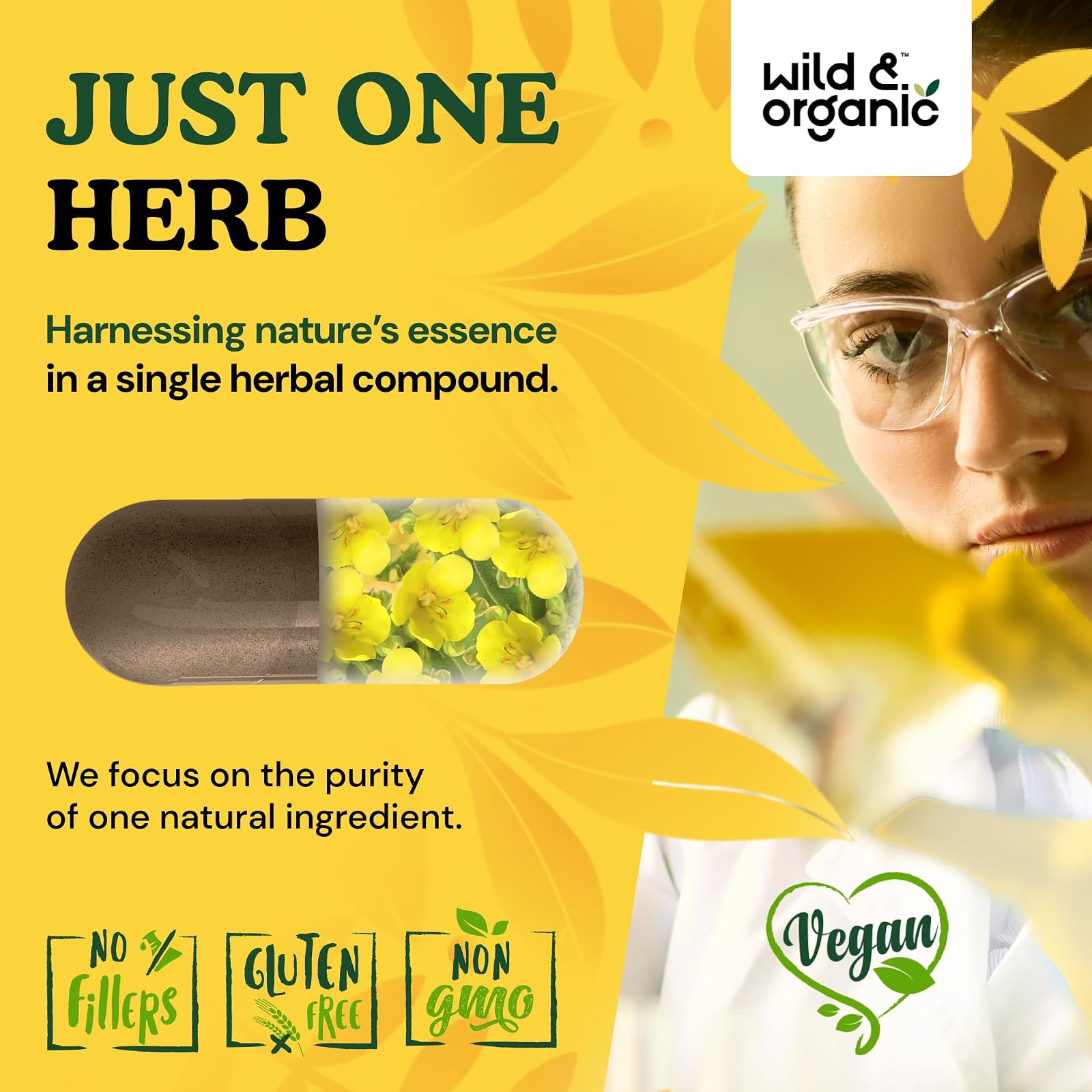 Wild & Organic Mullein for immune boost