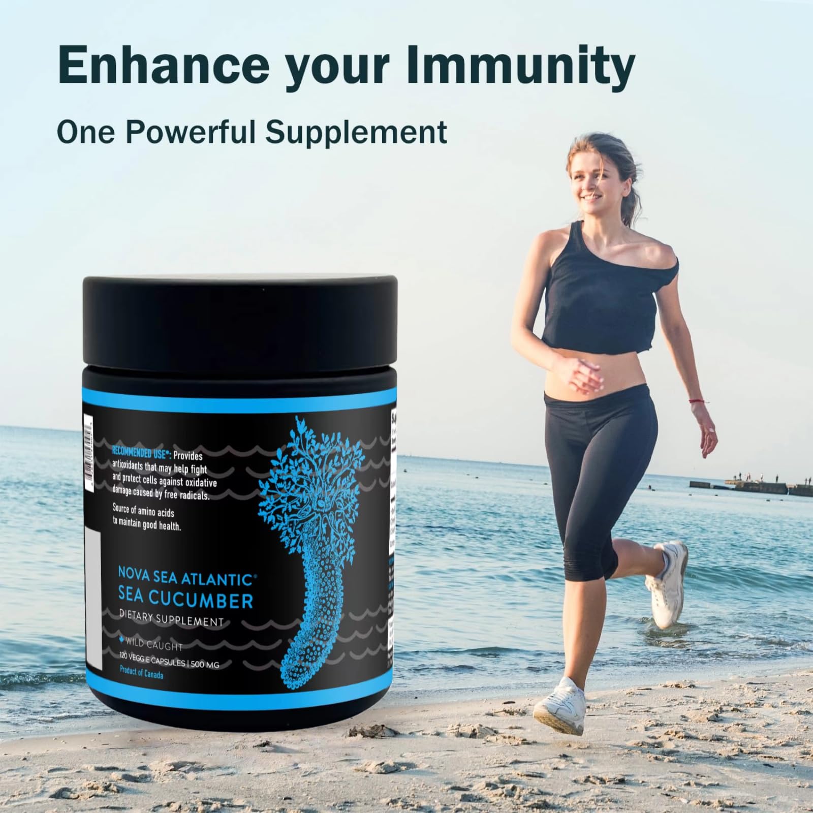 wild sea cucumber dietary supplement