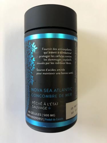 wild sea cucumber for daily nutrition