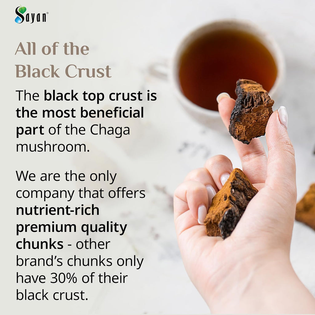 wild Siberian chaga tea chunks