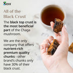 wild Siberian chaga tea chunks
