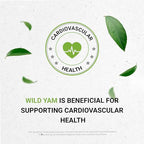 Wild Yam tincture for hormonal balance