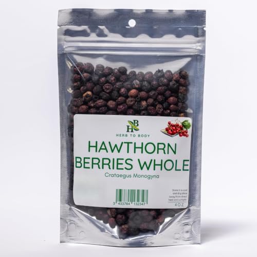 wildcrafted hawthorn berries for DIY preparations
