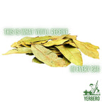 Wildcrafted herbal tea for wellness