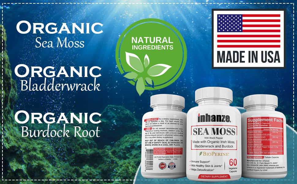 wildcrafted Irish moss nutrients