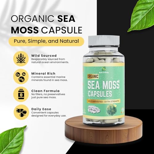 wildcrafted Irish sea moss benefits