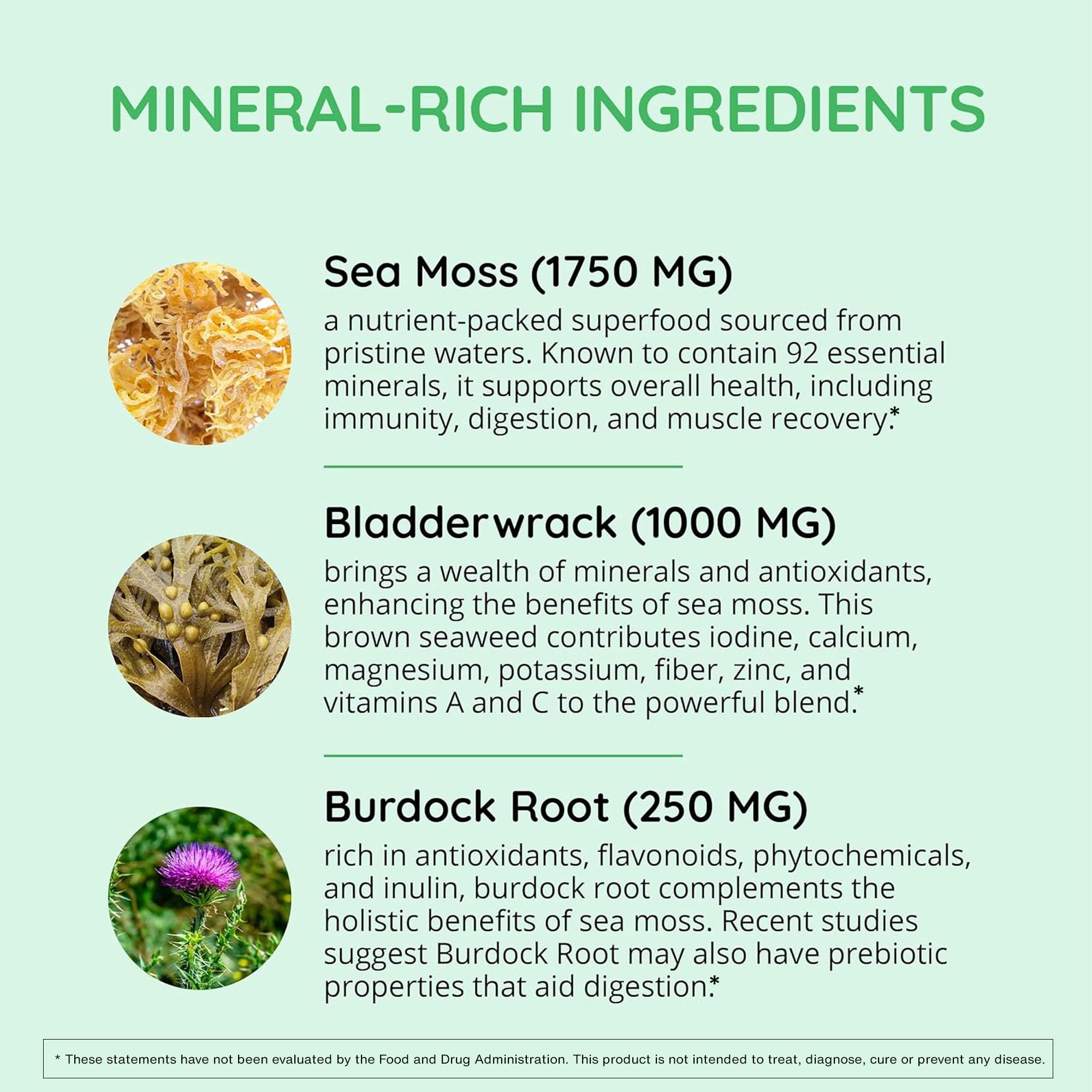 wildcrafted Irish seamoss for wellness