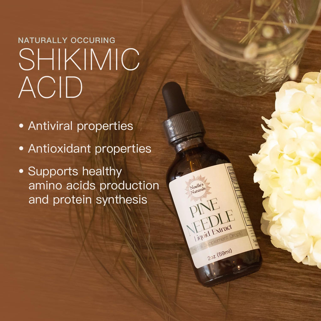 wildcrafted pine tincture for wellness