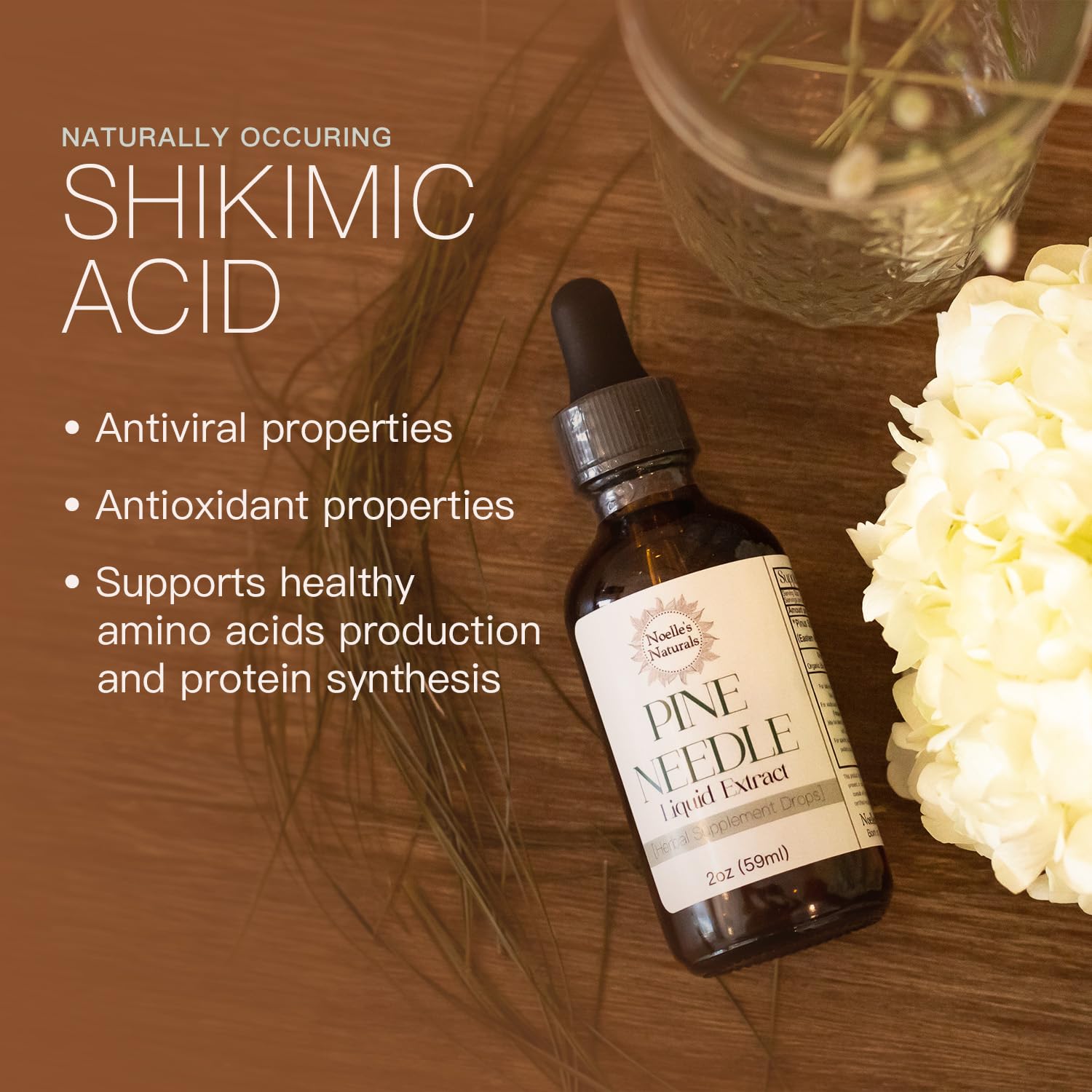 wildcrafted pine tincture for wellness