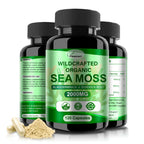 wildcrafted sea moss capsules benefits