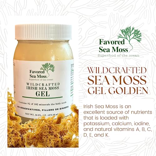 wildcrafted sea moss for digestion