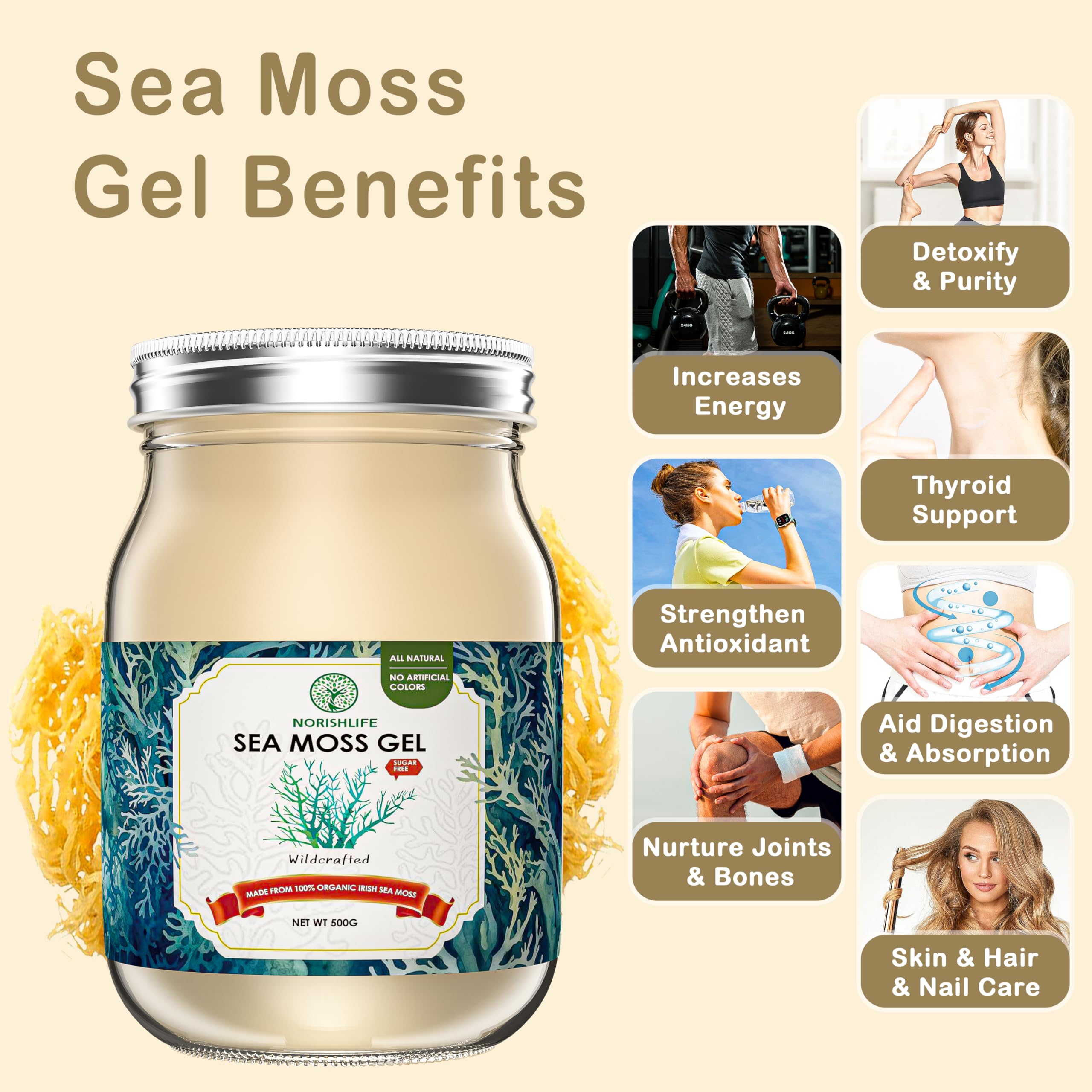 wildcrafted sea moss for energy boost