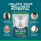 wildcrafted sea moss for health