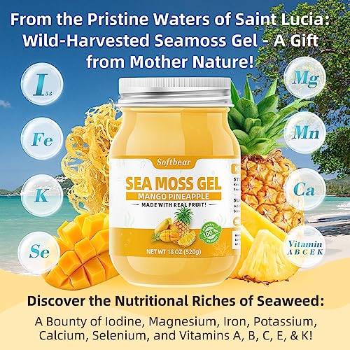 wildcrafted sea moss for natural wellness