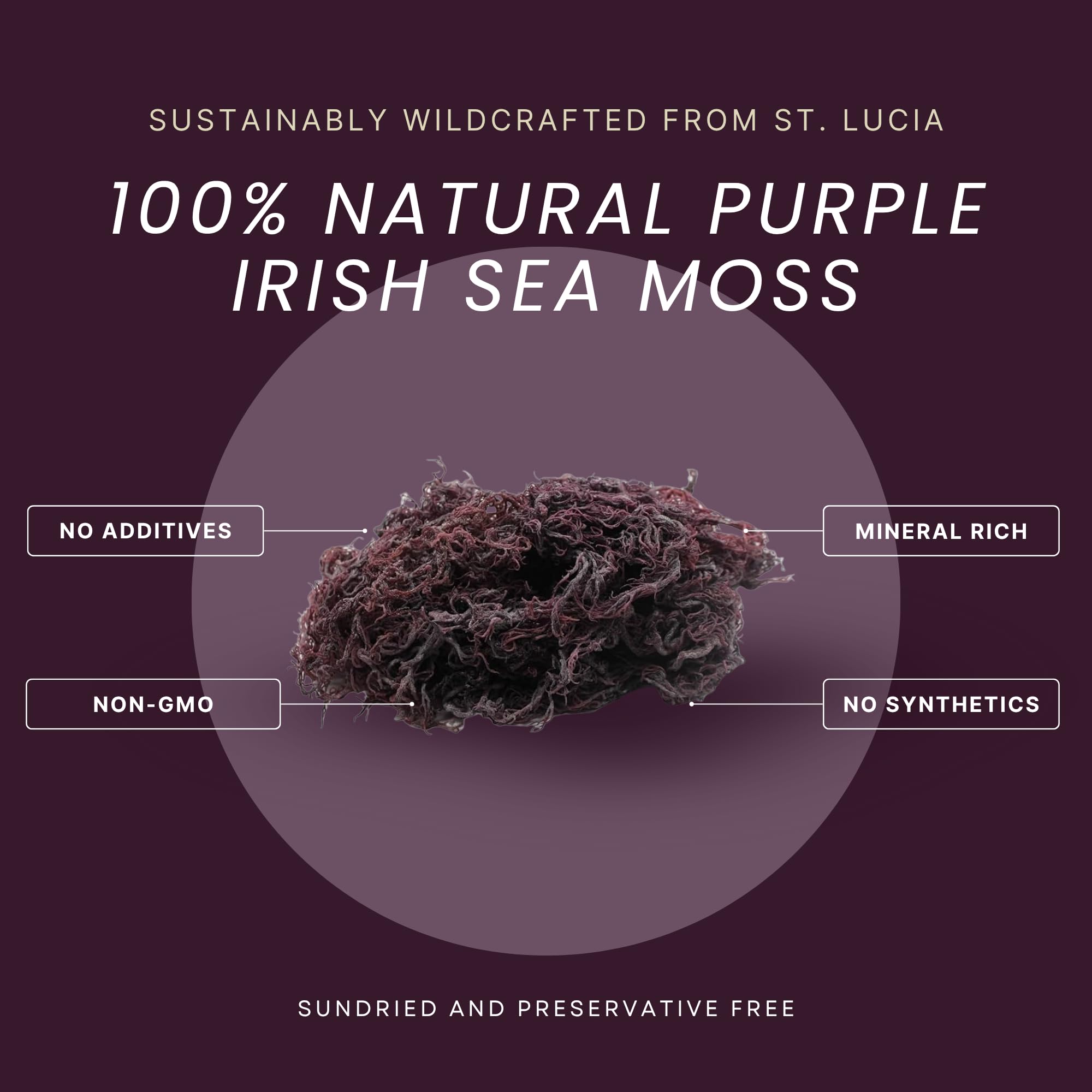 wildcrafted sea vegetables for health