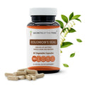 wildcrafted solomon's seal capsules